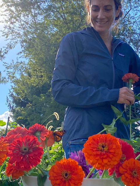 Biking, Monarchs, and Gingerbread-Spiced Pear Drizzle – Windtree Bee