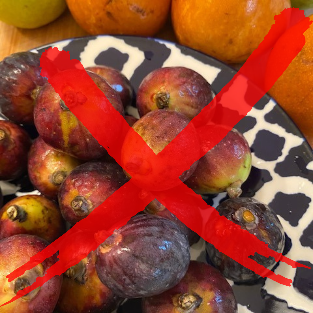 Biking, Monarchs, and Gingerbread-Spiced Pear Drizzle – Windtree Bee