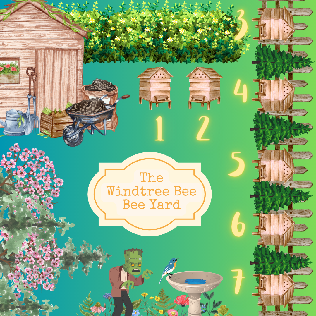 Introducing the 2023 Queens – Windtree Bee