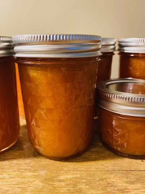 Jams Dads Will Love – Windtree Bee
